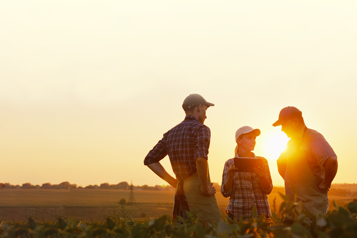 What is farm succession planning, and why is it important? - Pisani Group
